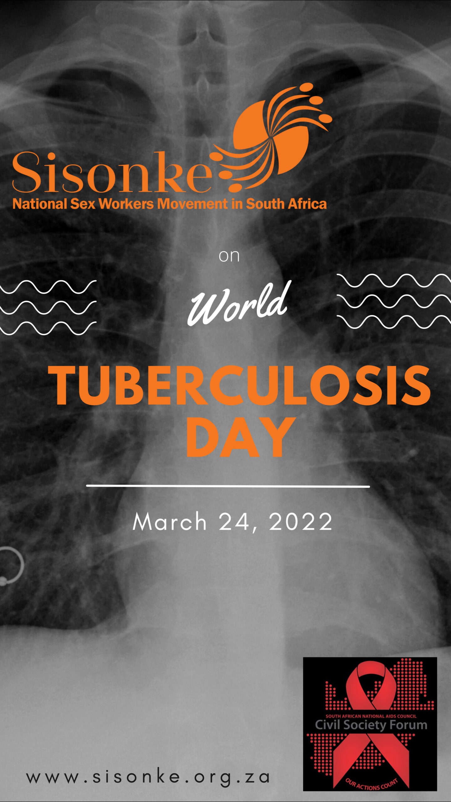 Home [www.sisonke.org.za]